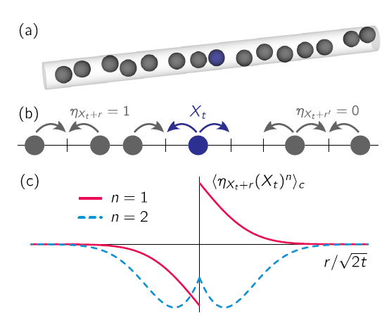 Une nouvelle équation pour la diffusion de particules en ligne | CNRS ... Une nouvelle équation pour la diffusion de particules en ligne | CNRS ...